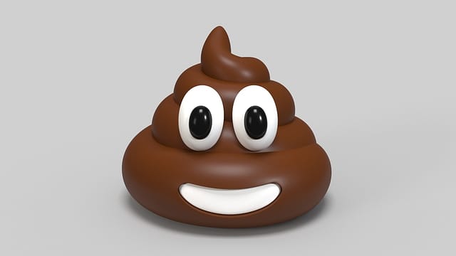 Bearded Dragon Poop 101 - The Reptile Networks "Replicate, Emulate ...